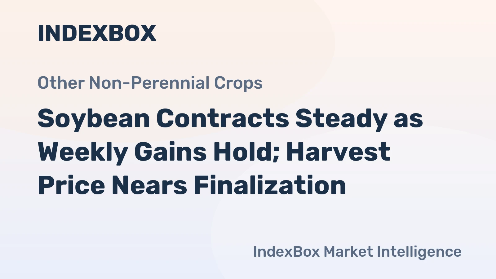 Soybean Contracts Steady as Weekly Gains Hold; Harvest Price Nears Finalization