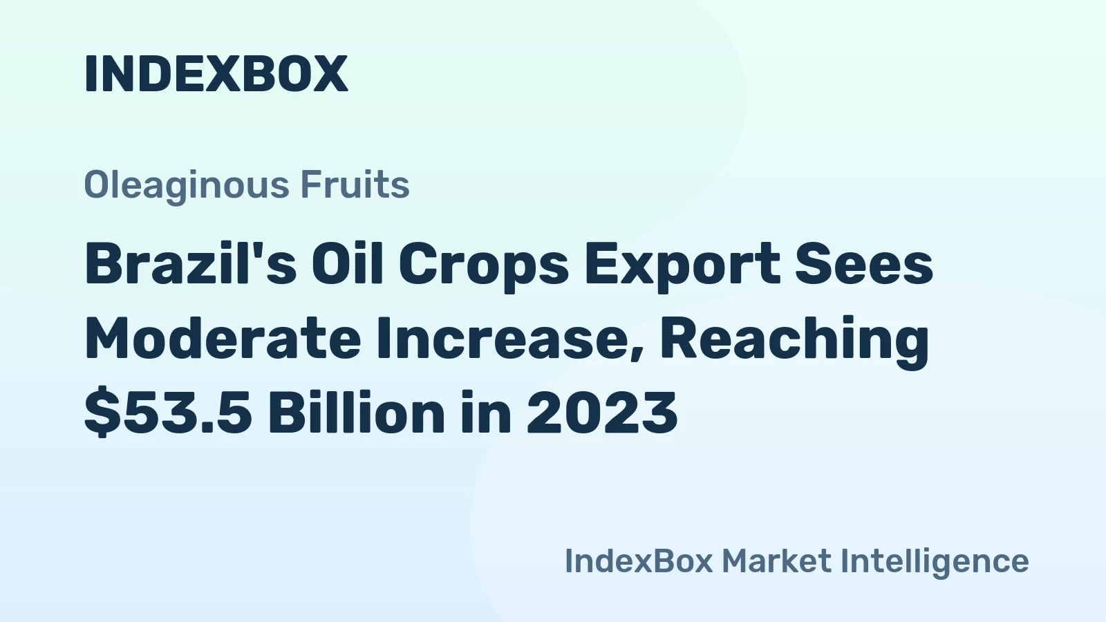 Brazil's Oil Crops Export Sees Moderate Increase, Reaching $53.5 Billion in 2023