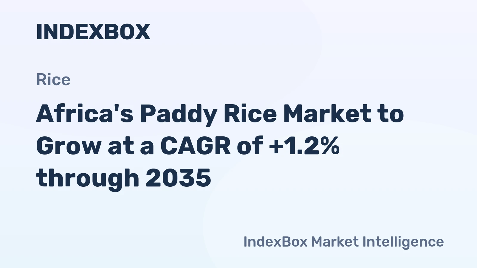 Africa's Paddy Rice Market to Grow at a CAGR of +1.2% through 2035