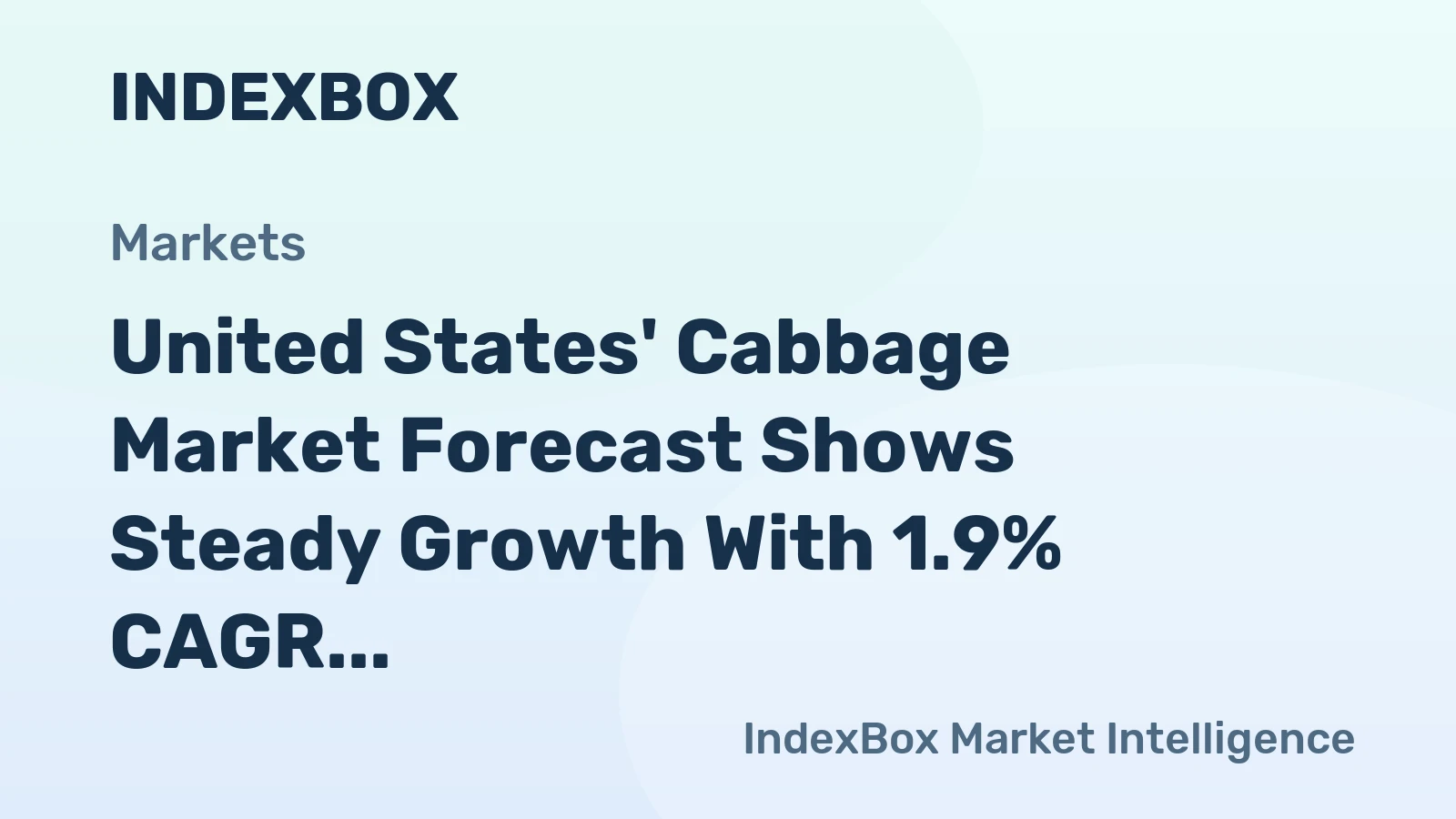 United States' Cabbage Market Forecast Shows Steady Growth With 1.9% CAGR Through 2035