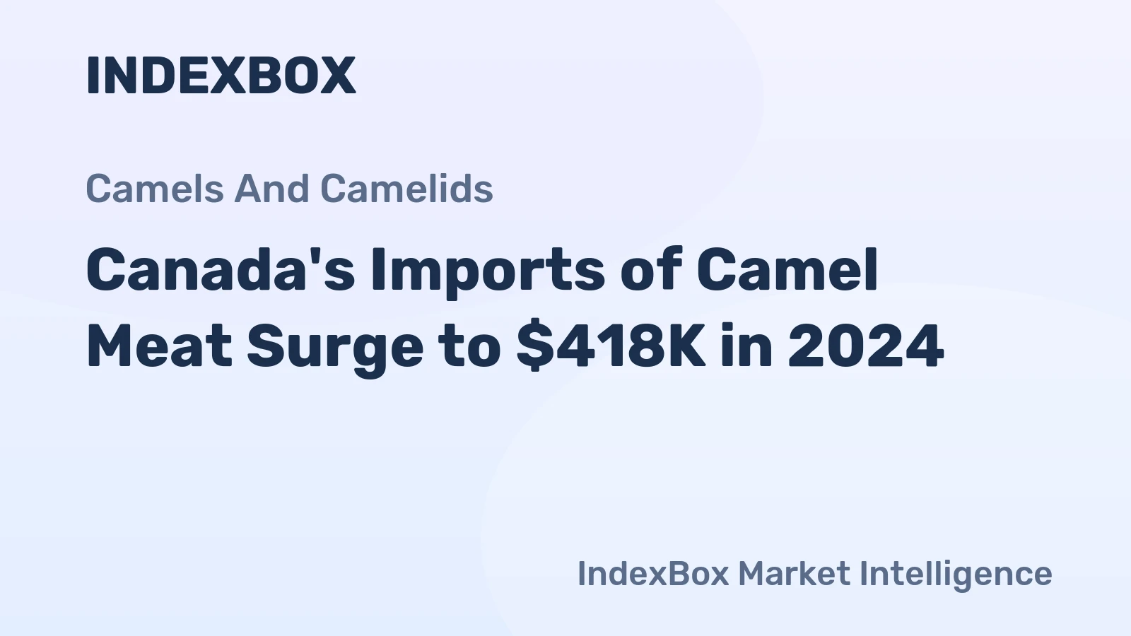 Canada's Imports of Camel Meat Surge to $418K in 2024