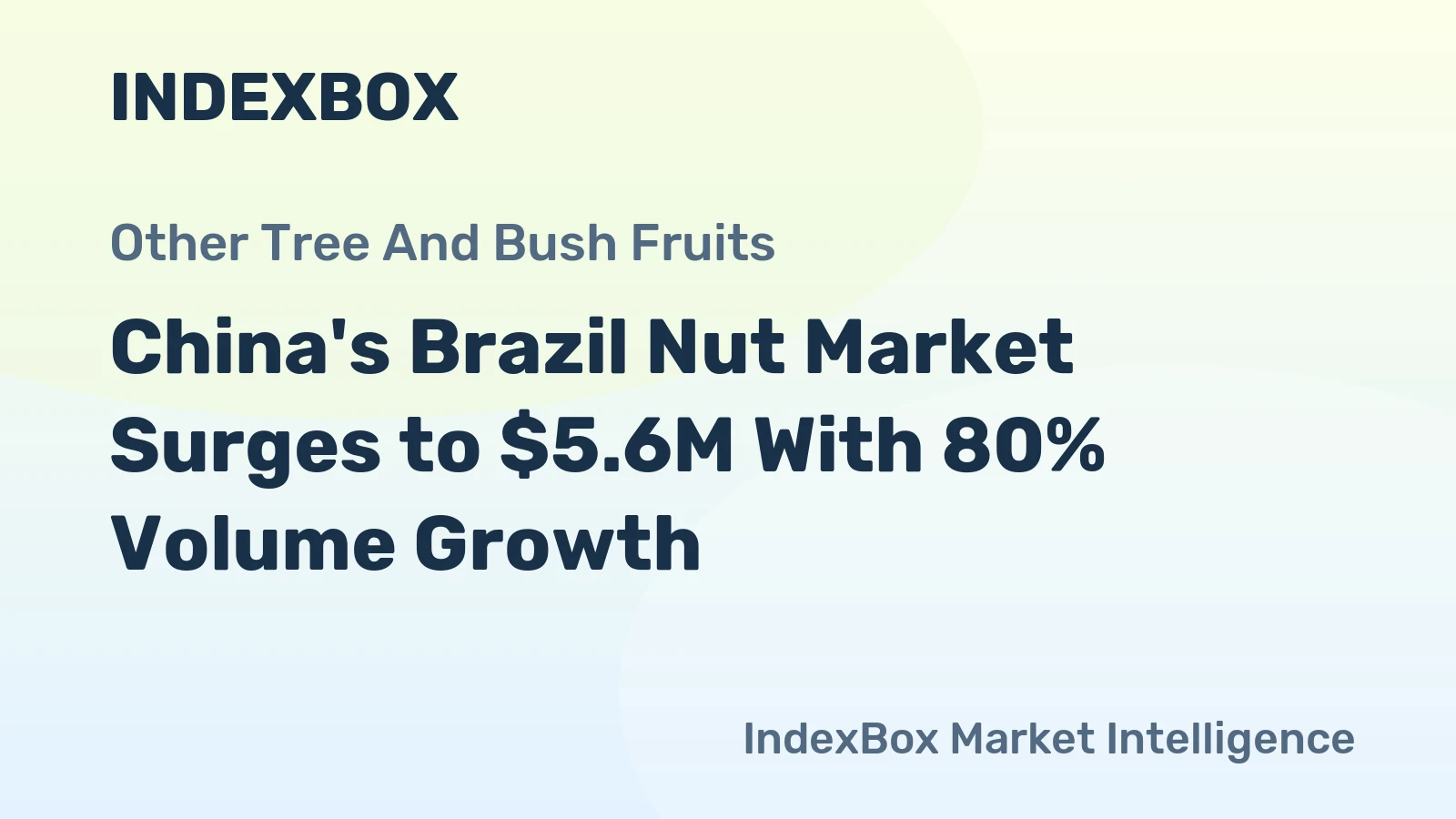 China's Brazil Nut Market Surges to $5.6M With 80% Volume Growth