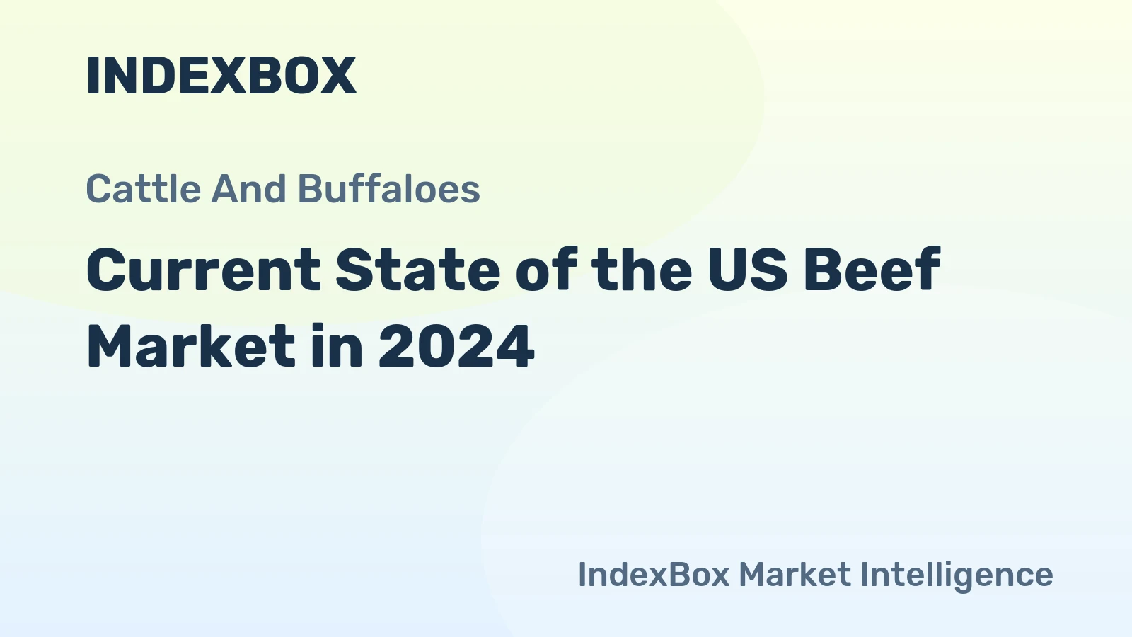 Current State of the US Beef Market in 2024