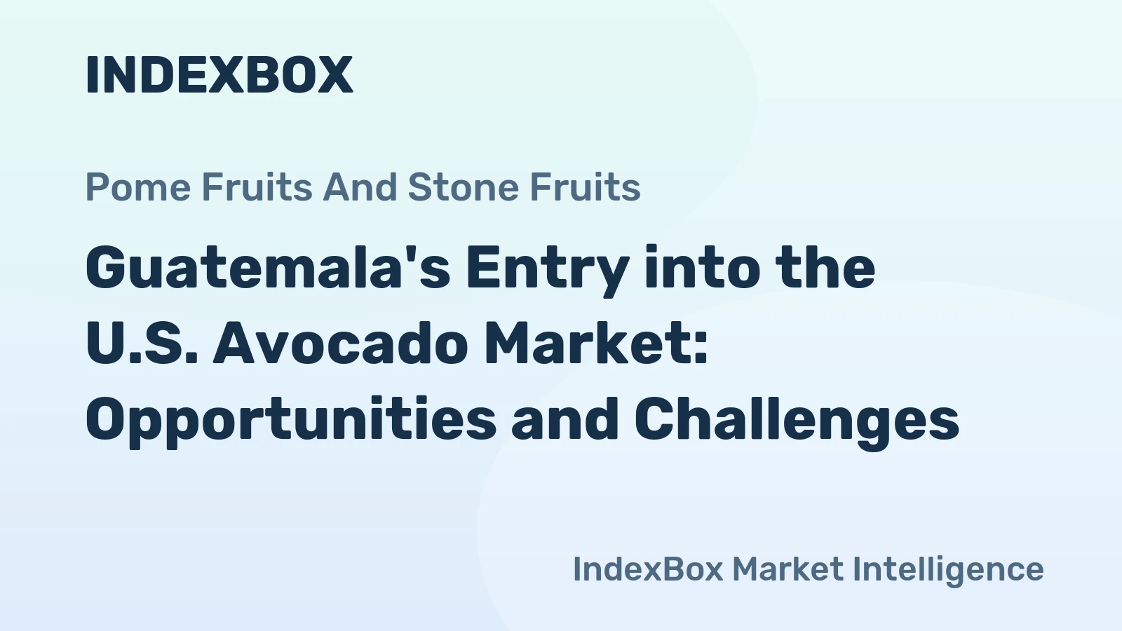 Guatemala's Entry into the U.S. Avocado Market: Opportunities and Challenges