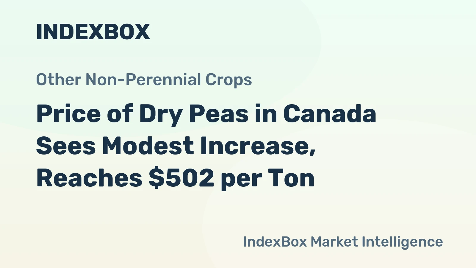 Price of Dry Peas in Canada Sees Modest Increase, Reaches $502 per Ton