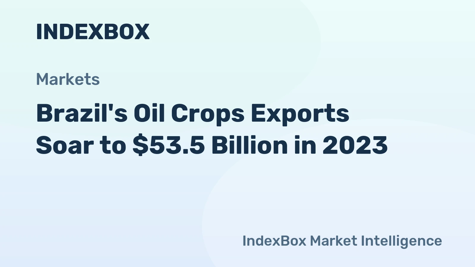 Brazil's Oil Crops Exports Soar to $53.5 Billion in 2023