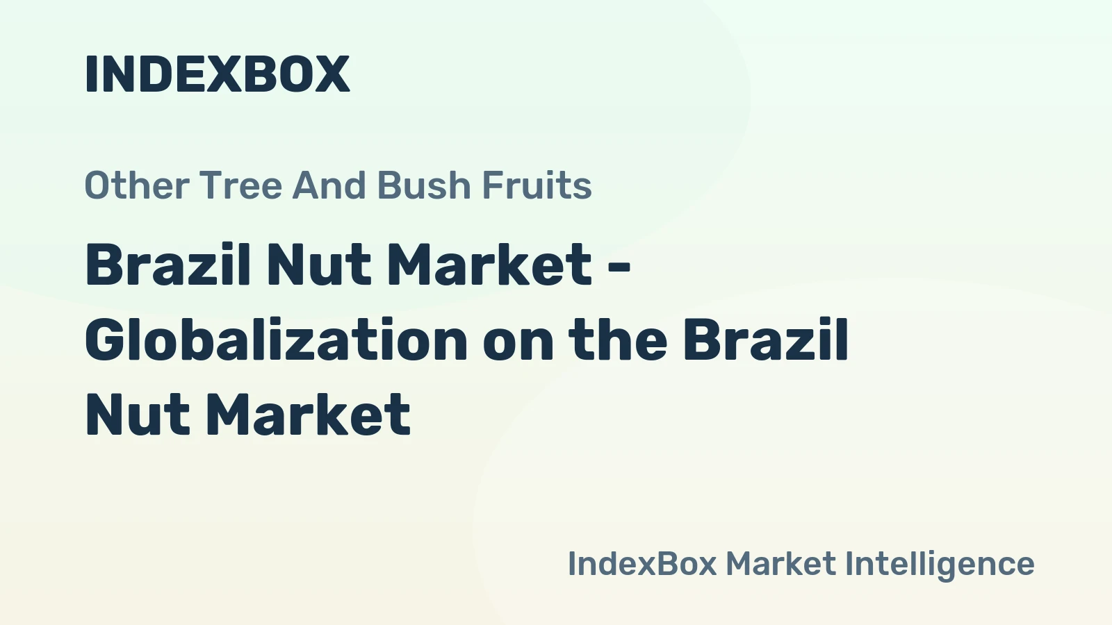 Brazil Nut Market - Globalization on the Brazil Nut Market