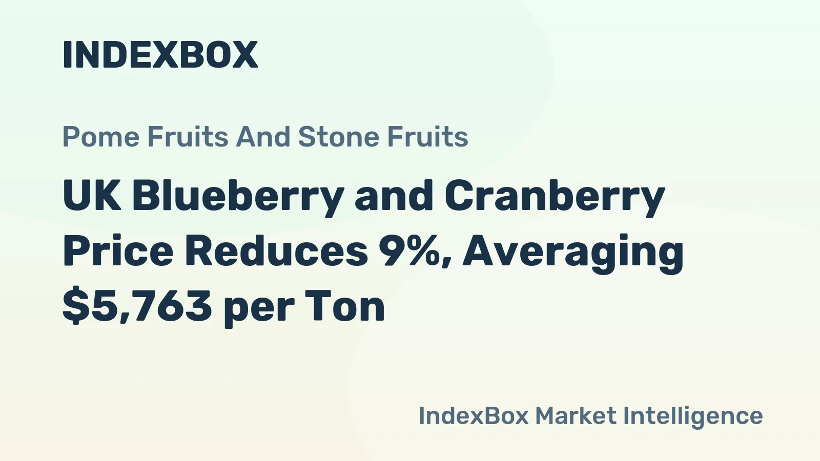 UK Blueberry and Cranberry Price Reduces 9%, Averaging $5,763 per Ton