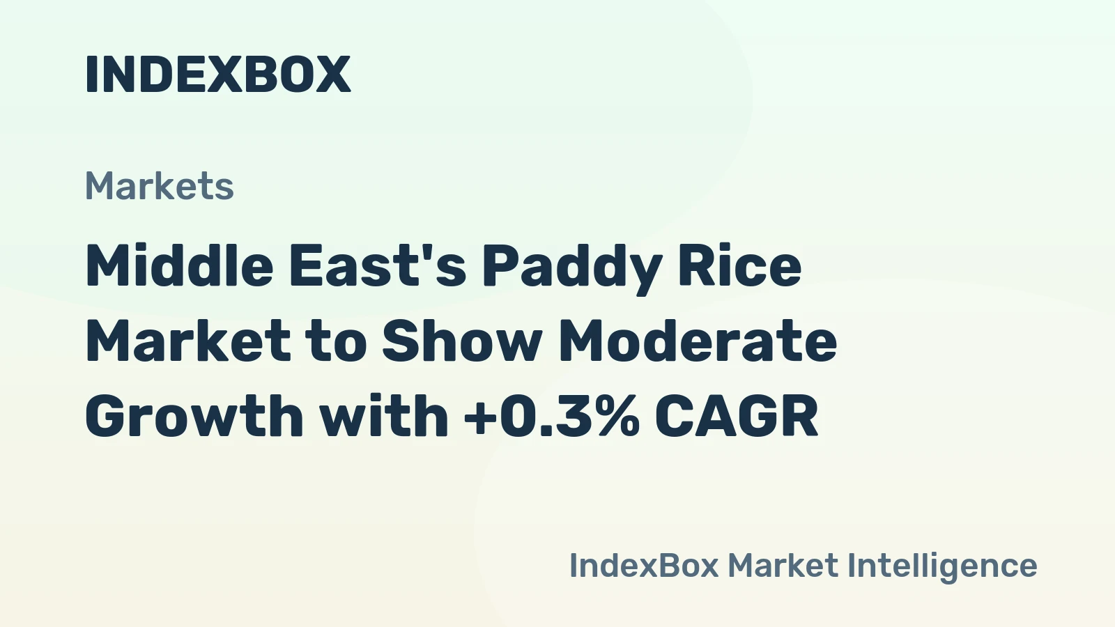 Middle East's Paddy Rice Market to Show Moderate Growth with +0.3% CAGR
