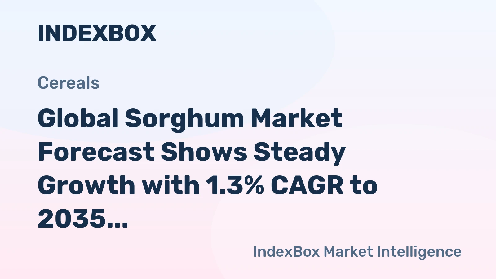 Global Sorghum Market Forecast Shows Steady Growth with 1.3% CAGR to 2035