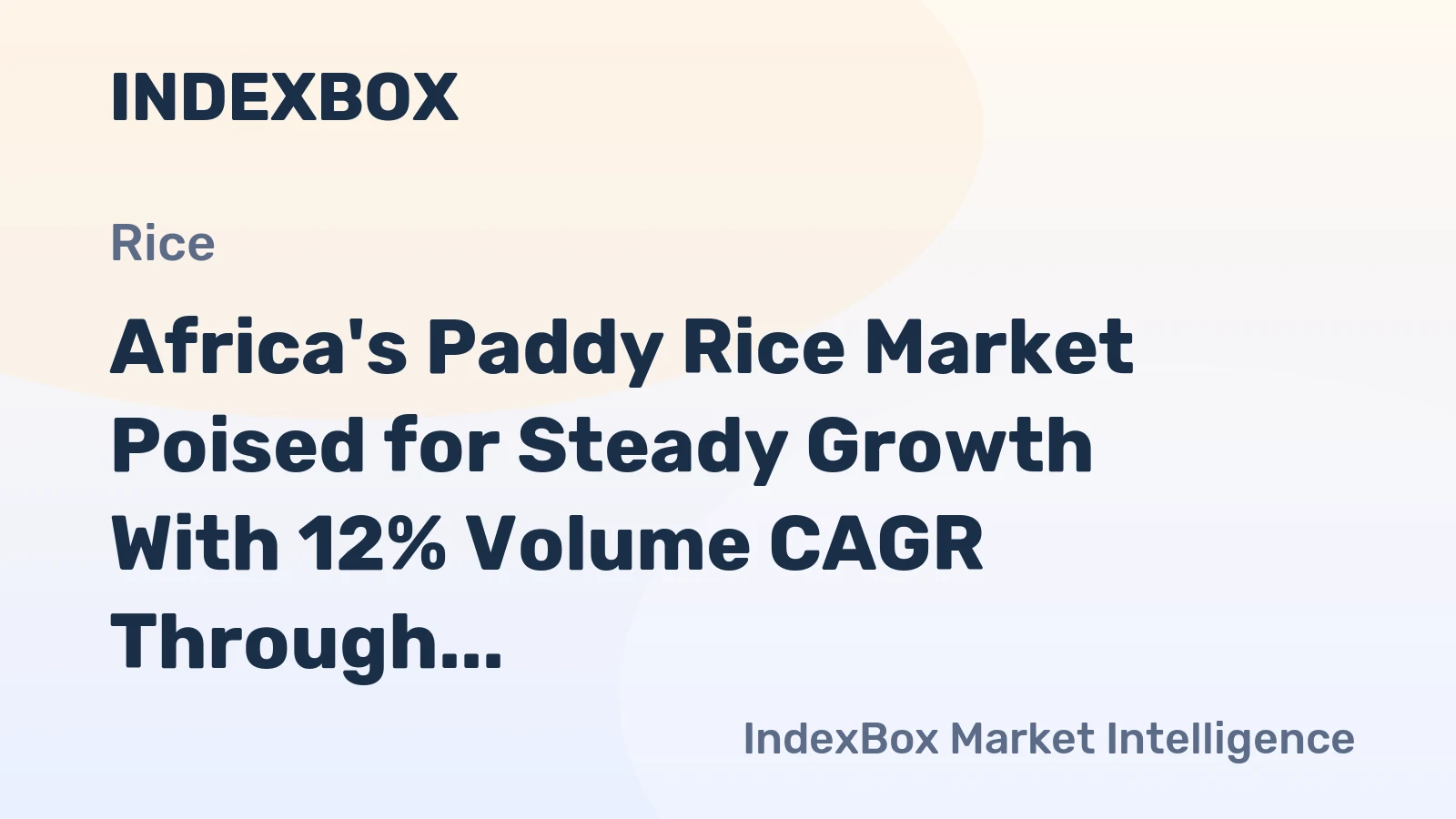 Africa's Paddy Rice Market Poised for Steady Growth With 12% Volume CAGR Through 2035