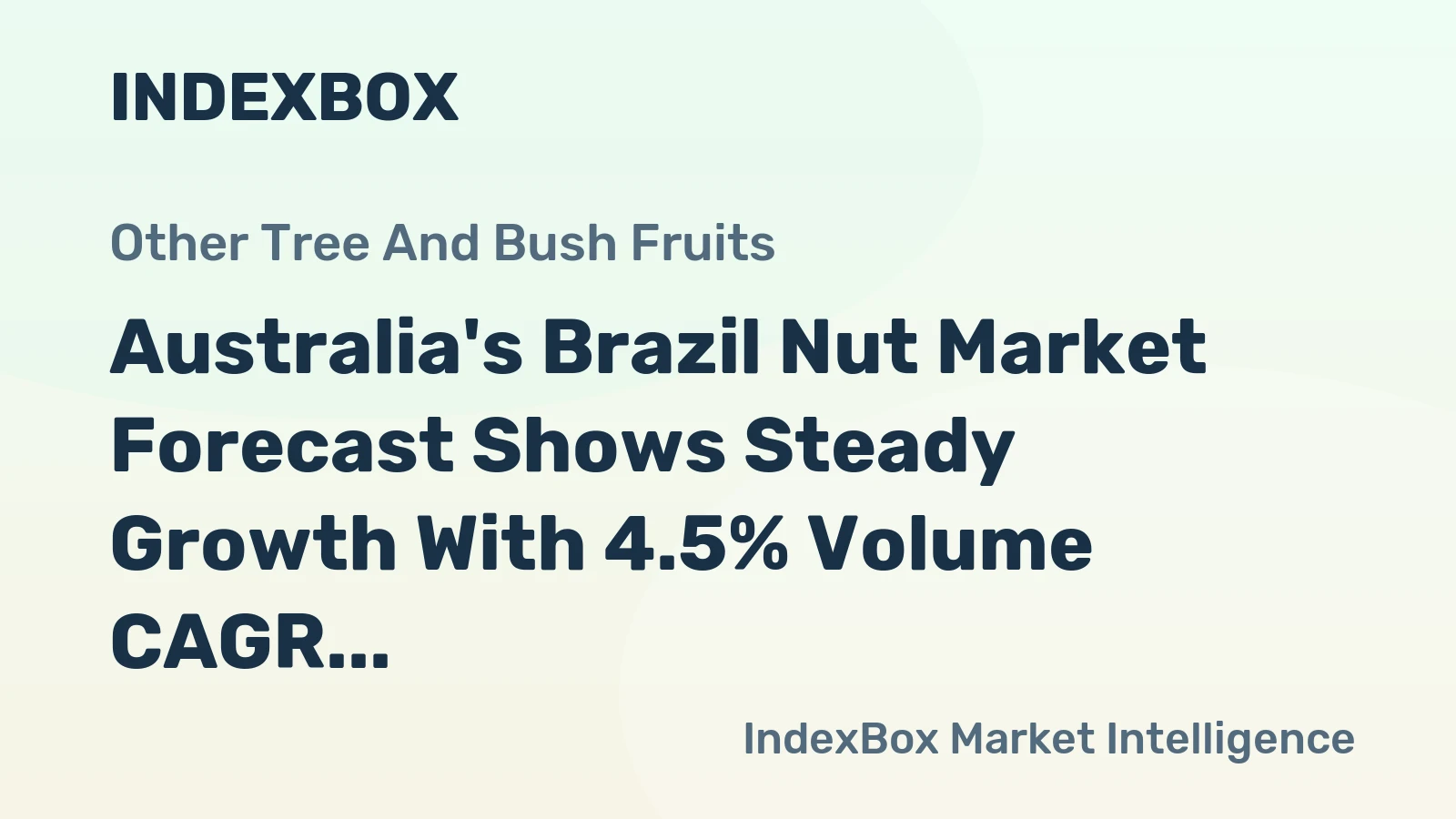 Australia's Brazil Nut Market Forecast Shows Steady Growth With 4.5% Volume CAGR