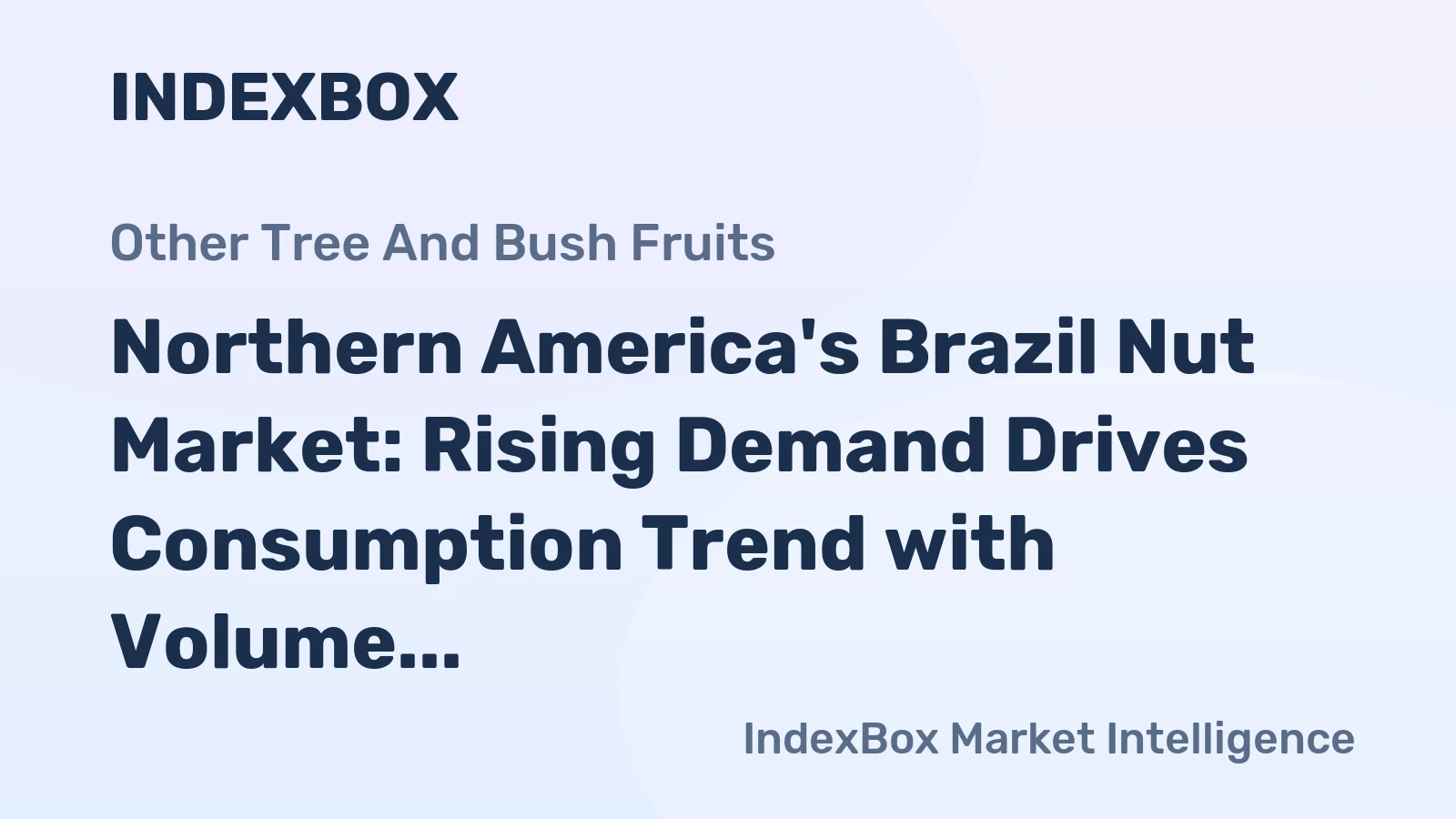 Northern America's Brazil Nut Market: Rising Demand Drives Consumption Trend with Volume Forecasted to Reach 315 tons and Value to Reach $1.2M by 2035