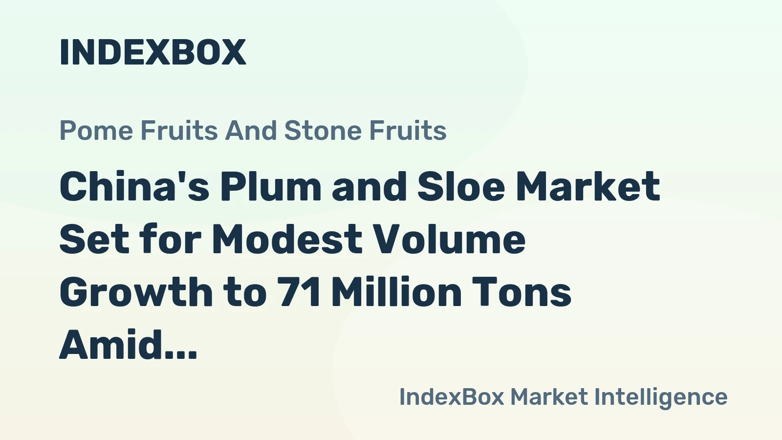 China's Plum and Sloe Market Set for Modest Volume Growth to 71 Million Tons Amid Value Decline