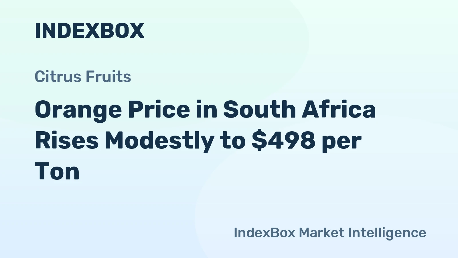 Orange Price in South Africa Rises Modestly to $498 per Ton