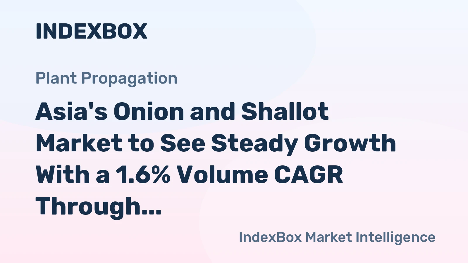 Asia's Onion and Shallot Market to See Steady Growth With a 1.6% Volume CAGR Through 2035
