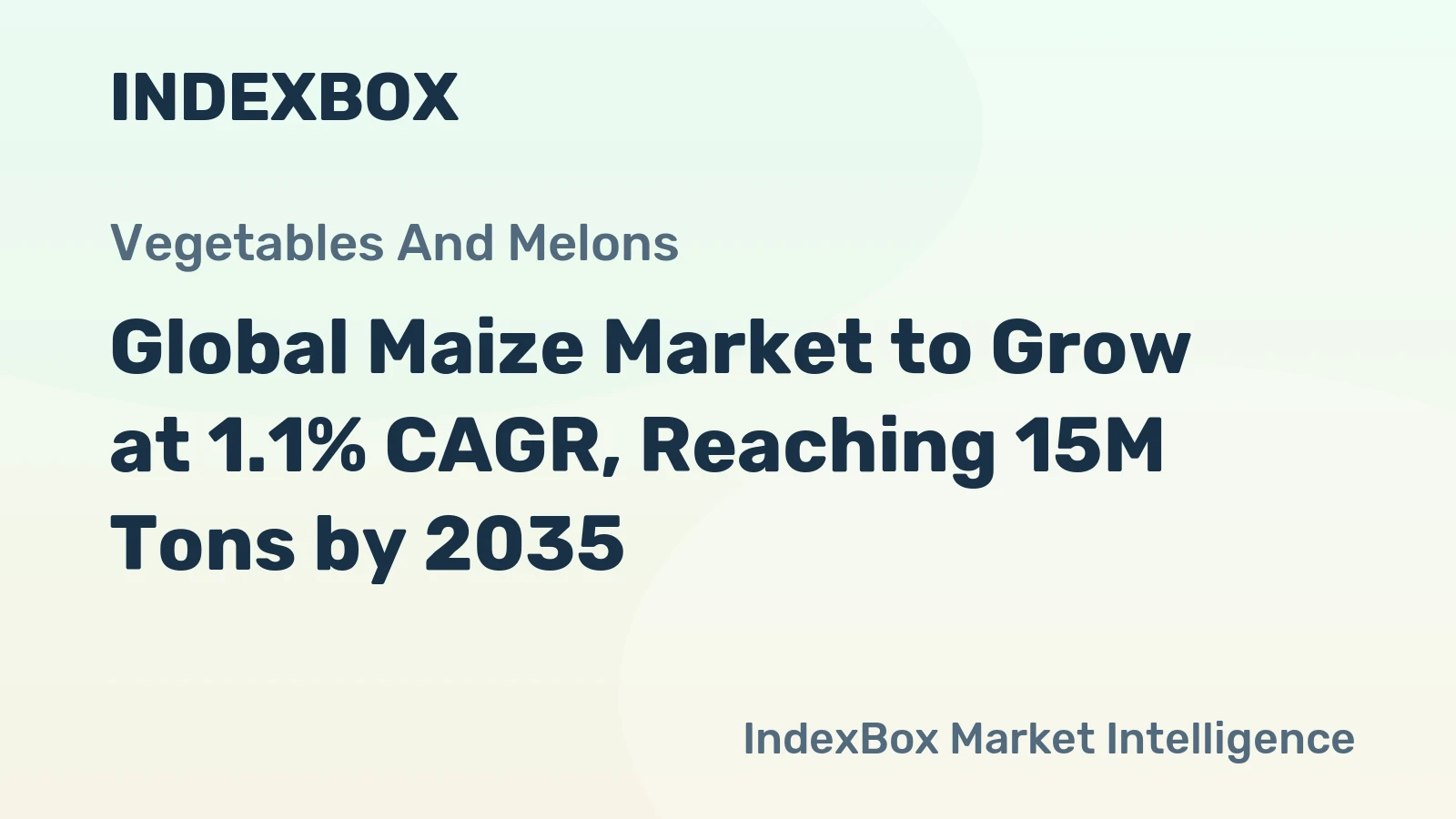 Global Maize Market to Grow at 1.1% CAGR, Reaching 15M Tons by 2035