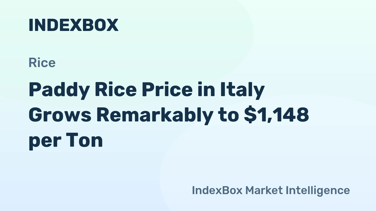 Paddy Rice Price in Italy Grows Remarkably to $1,148 per Ton