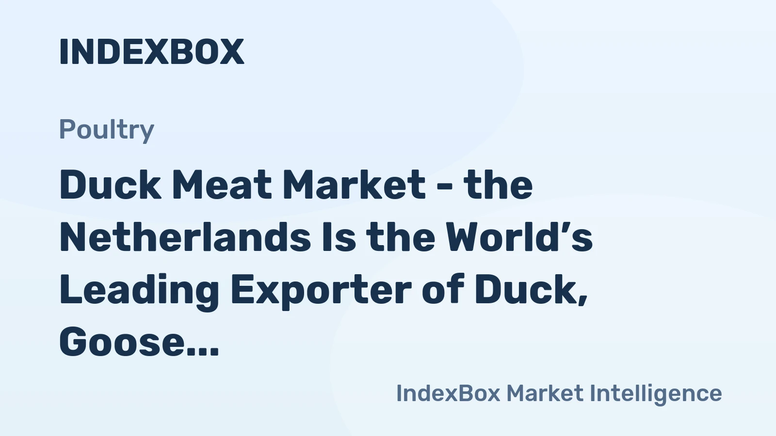 Duck Meat Market - the Netherlands Is the World’s Leading Exporter of Duck, Goose and Guinea Fowl