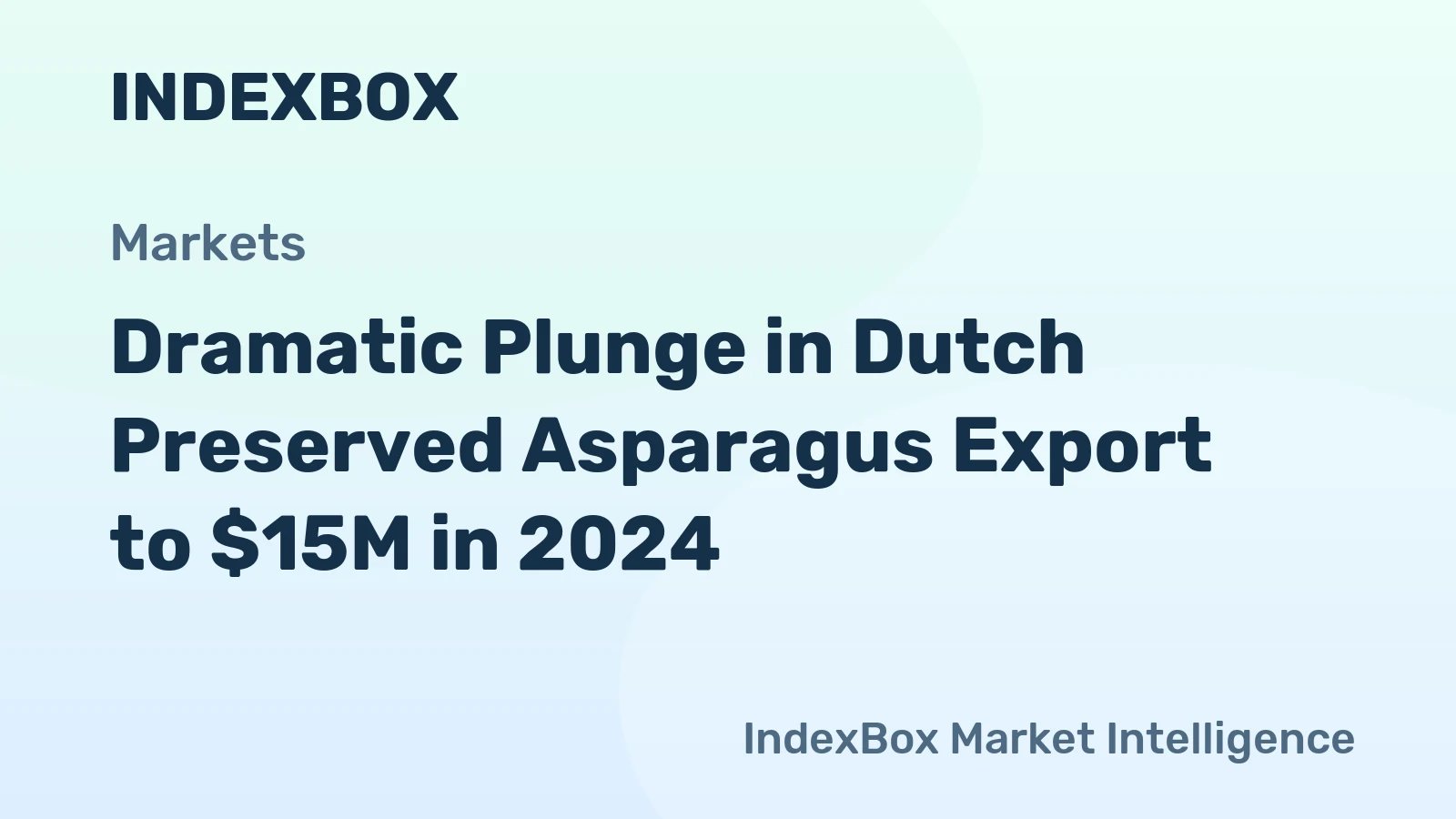 Dramatic Plunge in Dutch Preserved Asparagus Export to $15M in 2024