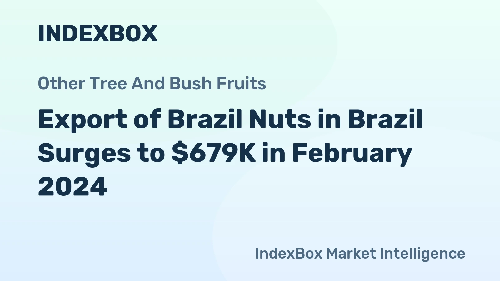 Export of Brazil Nuts in Brazil Surges to $679K in February 2024