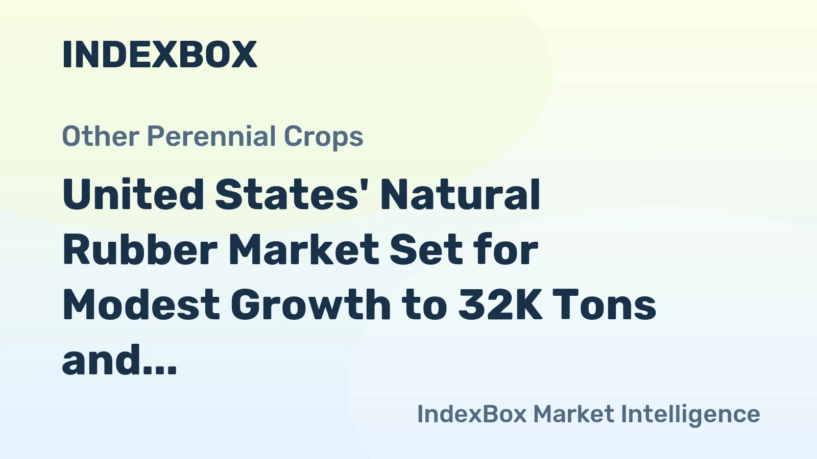United States' Natural Rubber Market Set for Modest Growth to 32K Tons and $49M