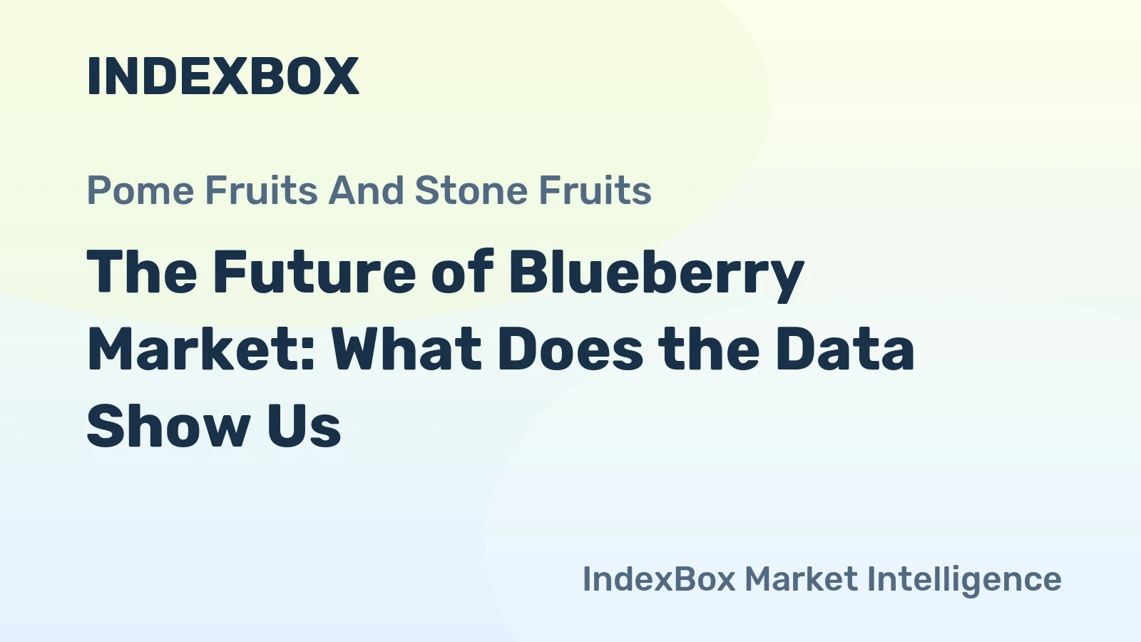 The Future of Blueberry Market: What Does the Data Show Us?