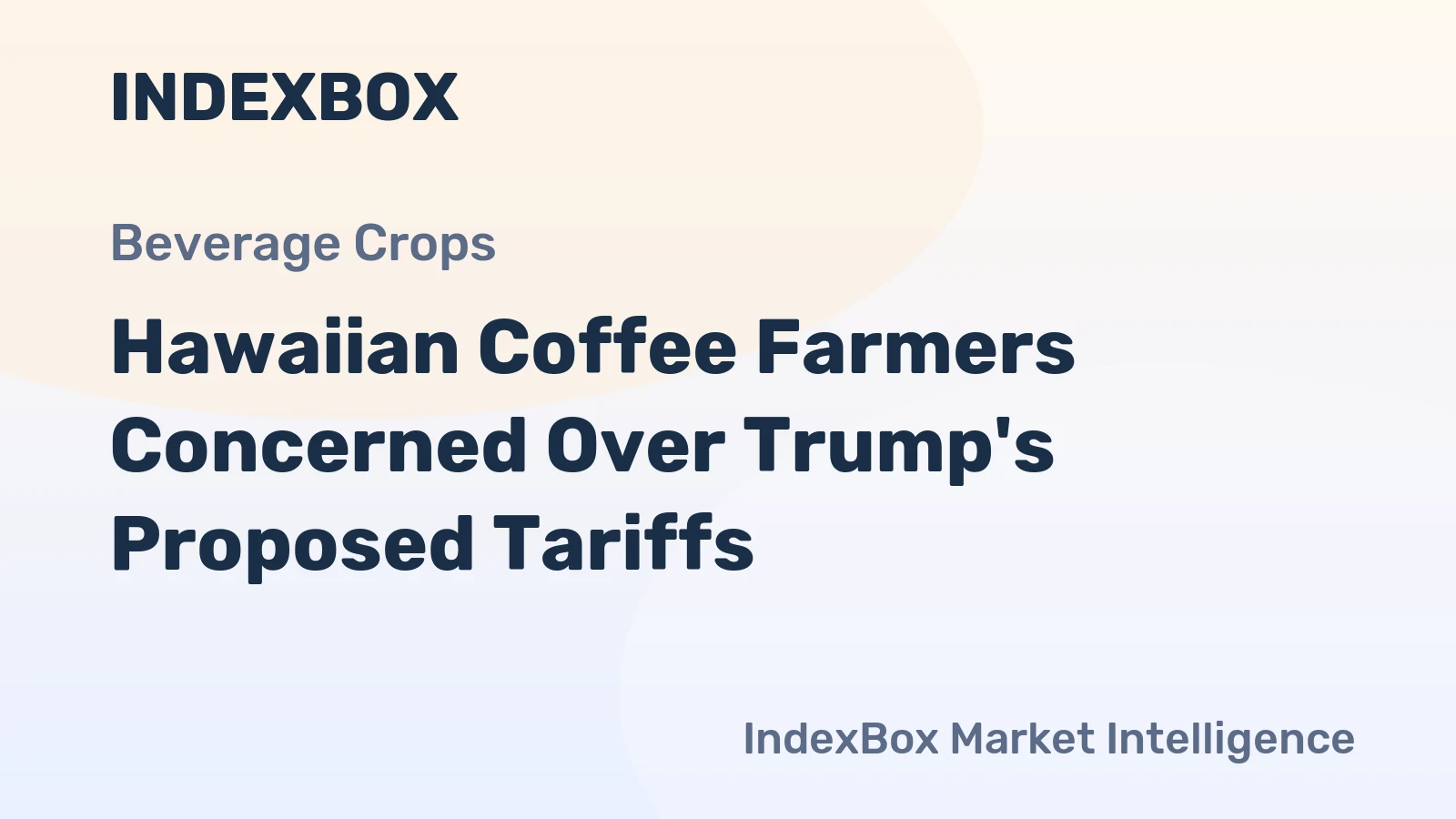 Hawaiian Coffee Farmers Concerned Over Trump's Proposed Tariffs