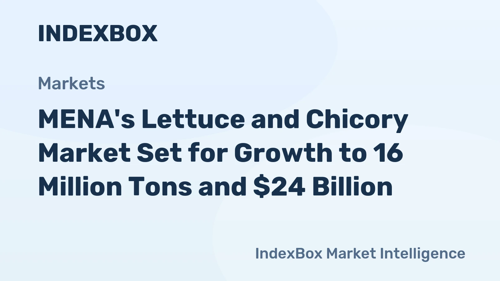 MENA's Lettuce and Chicory Market Set for Growth to 16 Million Tons and $24 Billion
