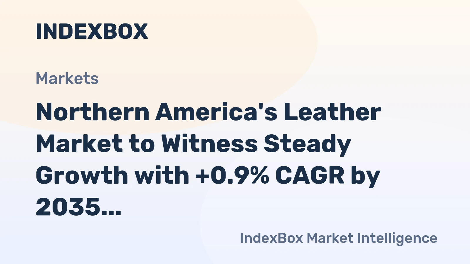 Northern America's Leather Market to Witness Steady Growth with +0.9% CAGR by 2035
