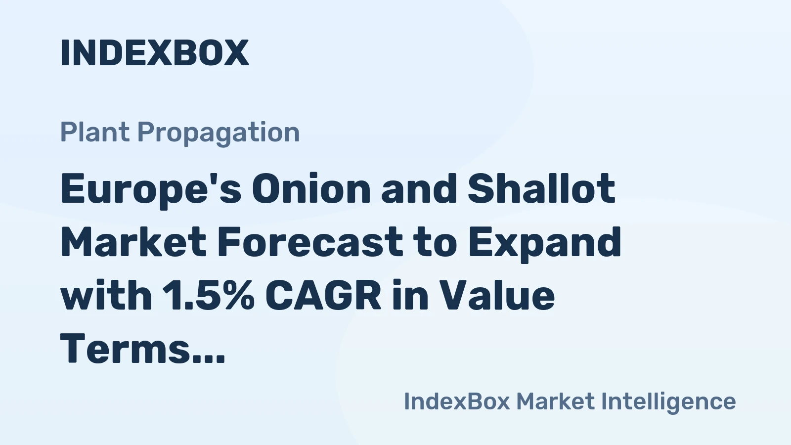 Europe's Onion and Shallot Market Forecast to Expand with 1.5% CAGR in Value Terms