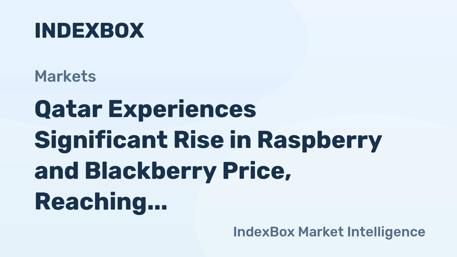 Qatar Experiences Significant Rise in Raspberry and Blackberry Price, Reaching $11.9 per kg