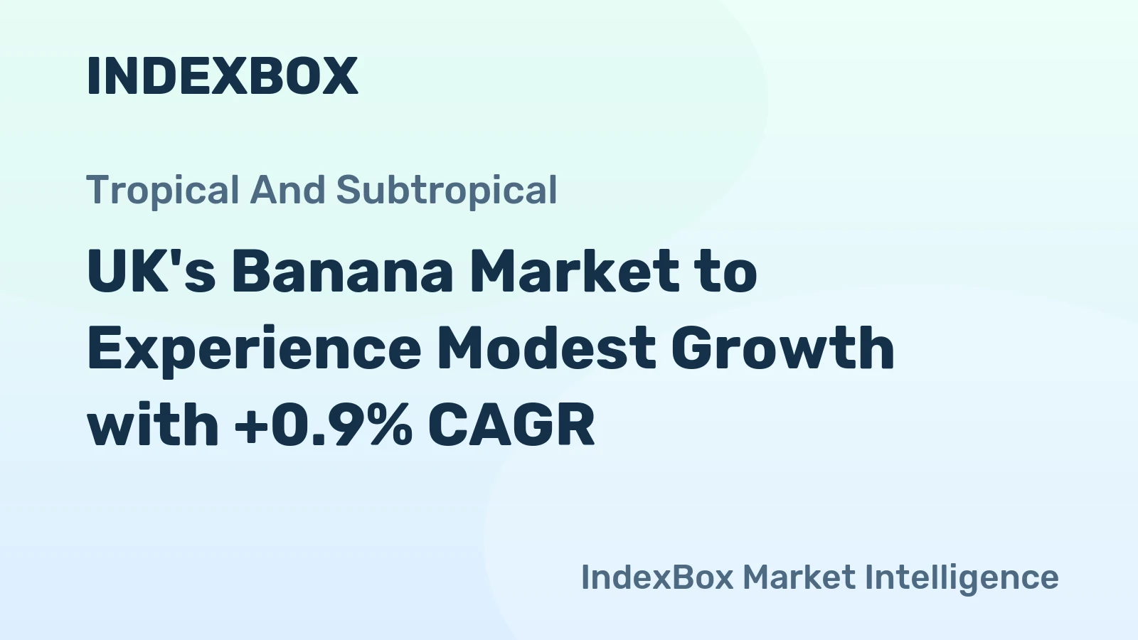 UK's Banana Market to Experience Modest Growth with +0.9% CAGR