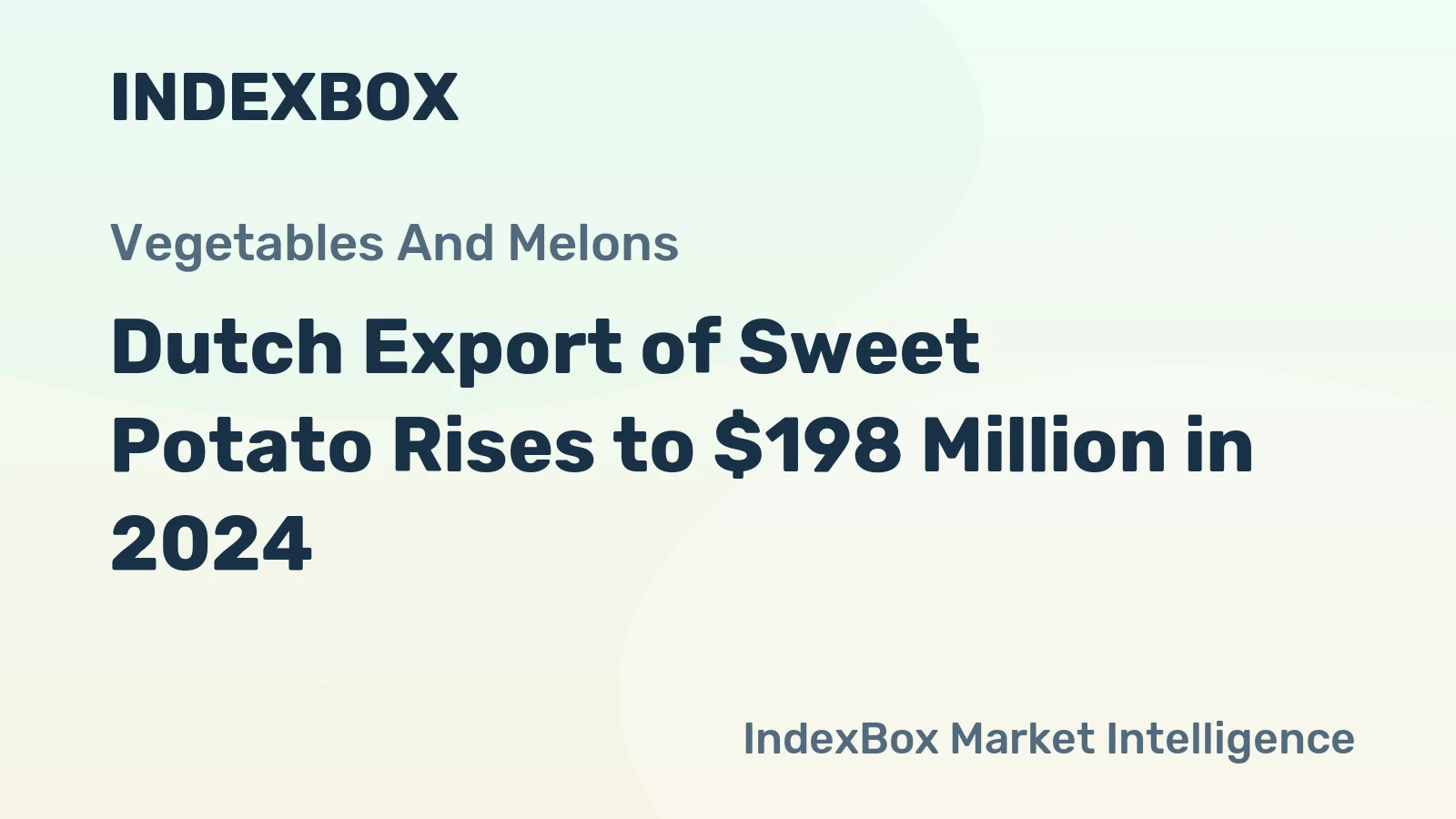 Dutch Export of Sweet Potato Rises to $198 Million in 2024