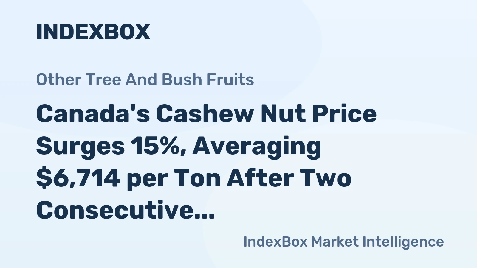 Canada's Cashew Nut Price Surges 15%, Averaging $6,714 per Ton After Two Consecutive Months of Growth