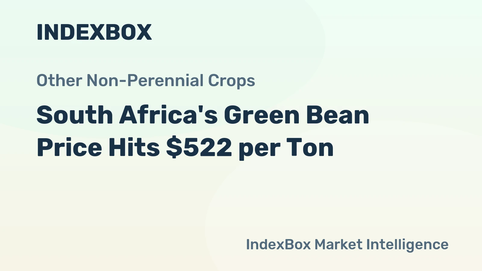 South Africa's Green Bean Price Hits $522 per Ton