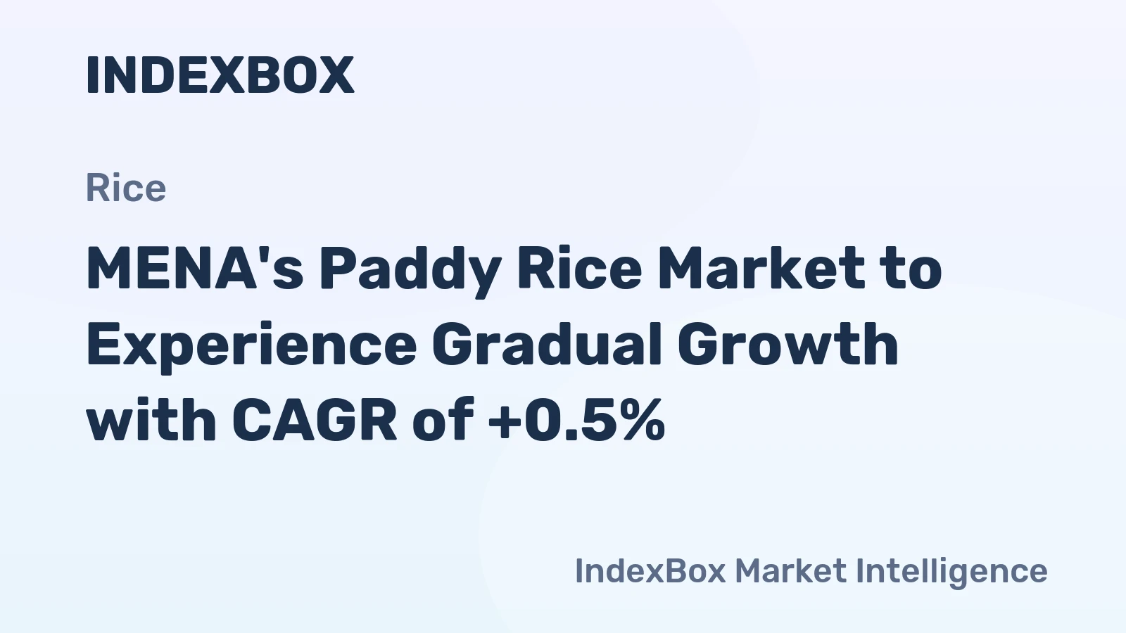 MENA's Paddy Rice Market to Experience Gradual Growth with CAGR of +0.5%