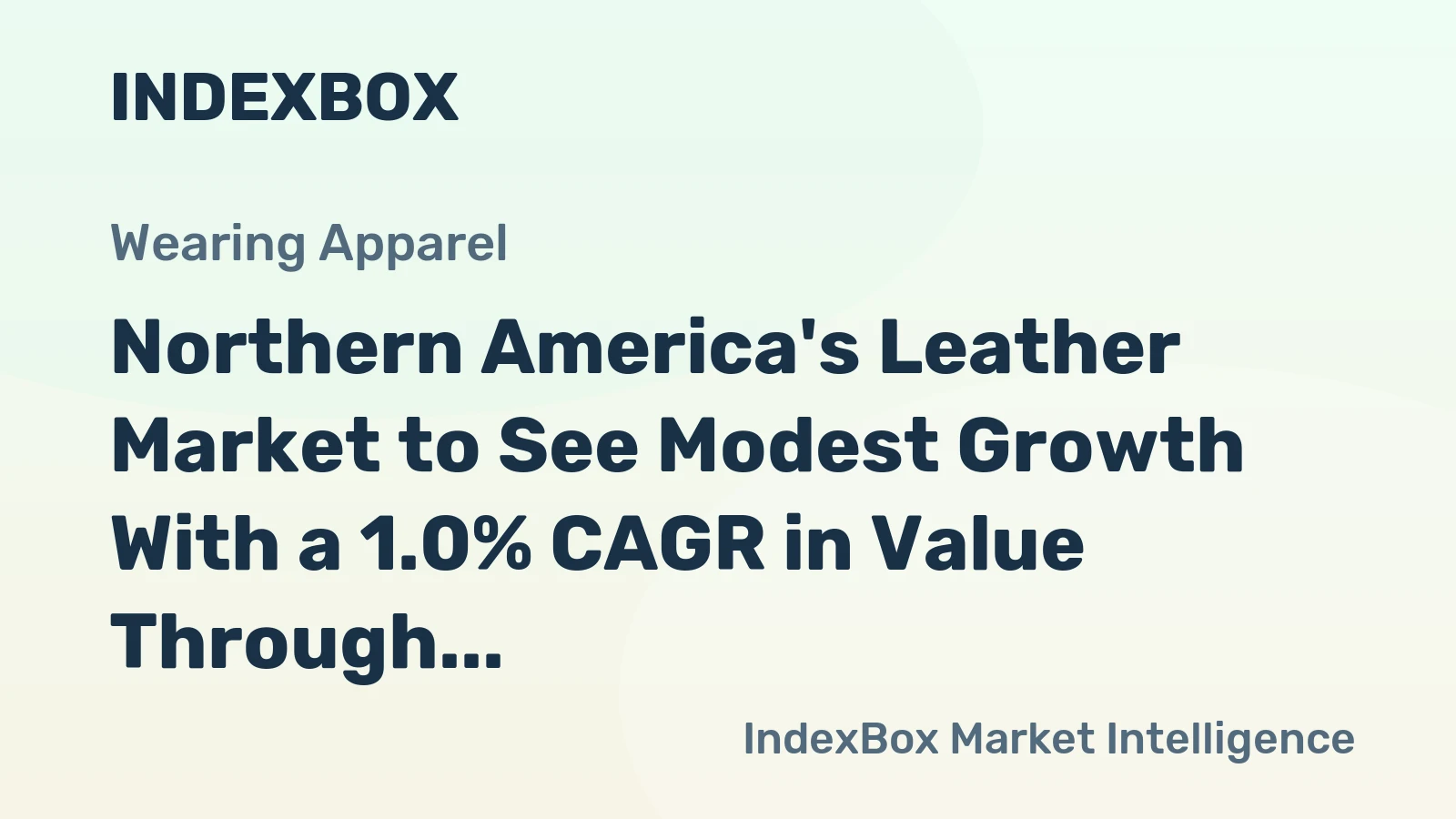 Northern America's Leather Market to See Modest Growth With a 1.0% CAGR in Value Through 2035