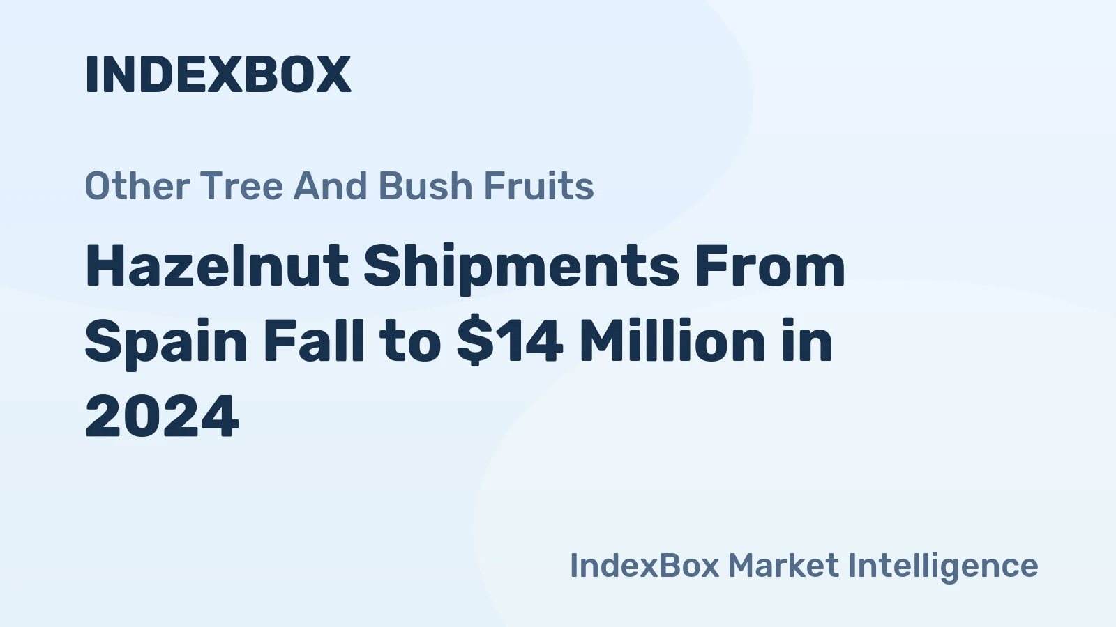 Hazelnut Shipments From Spain Fall to $14 Million in 2024