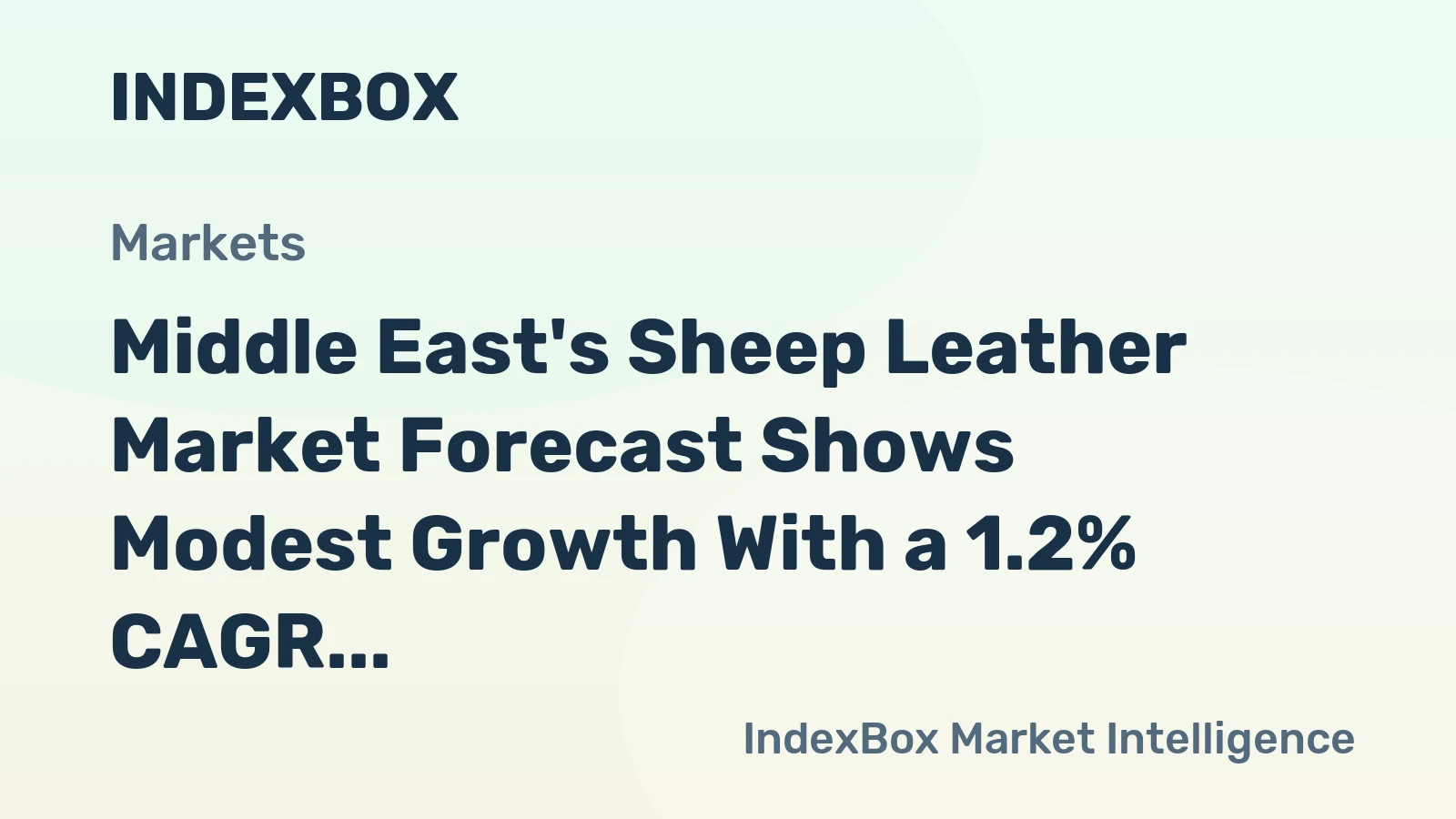 Middle East's Sheep Leather Market Forecast Shows Modest Growth With a 1.2% CAGR in Value
