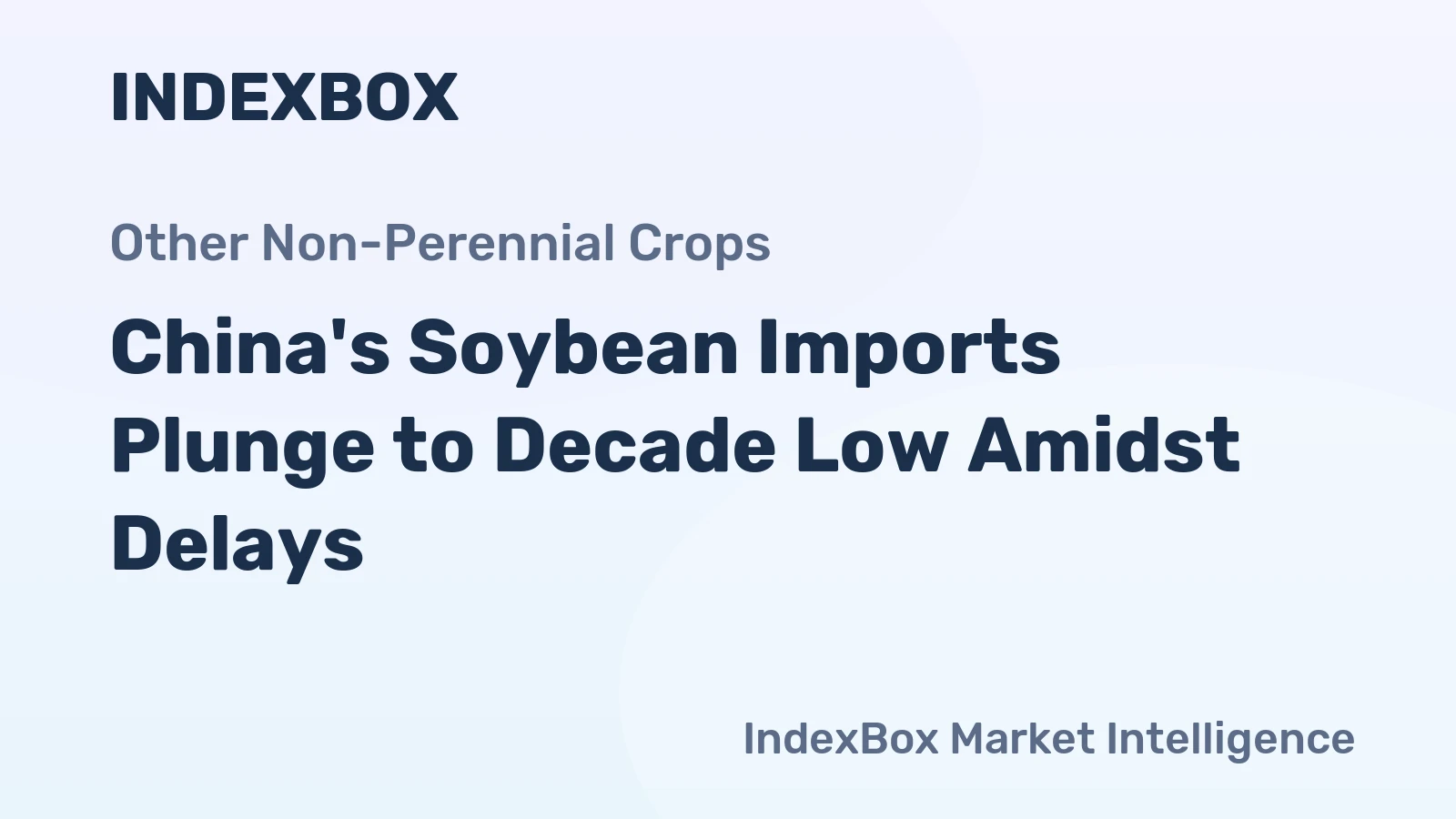 China's Soybean Imports Plunge to Decade Low Amidst Delays