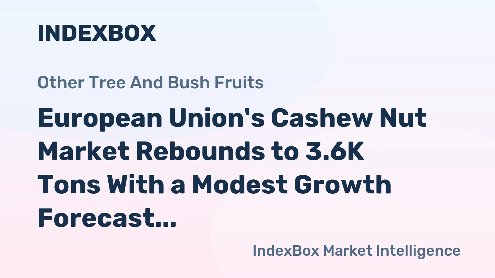 European Union's Cashew Nut Market Rebounds to 3.6K Tons With a Modest Growth Forecast