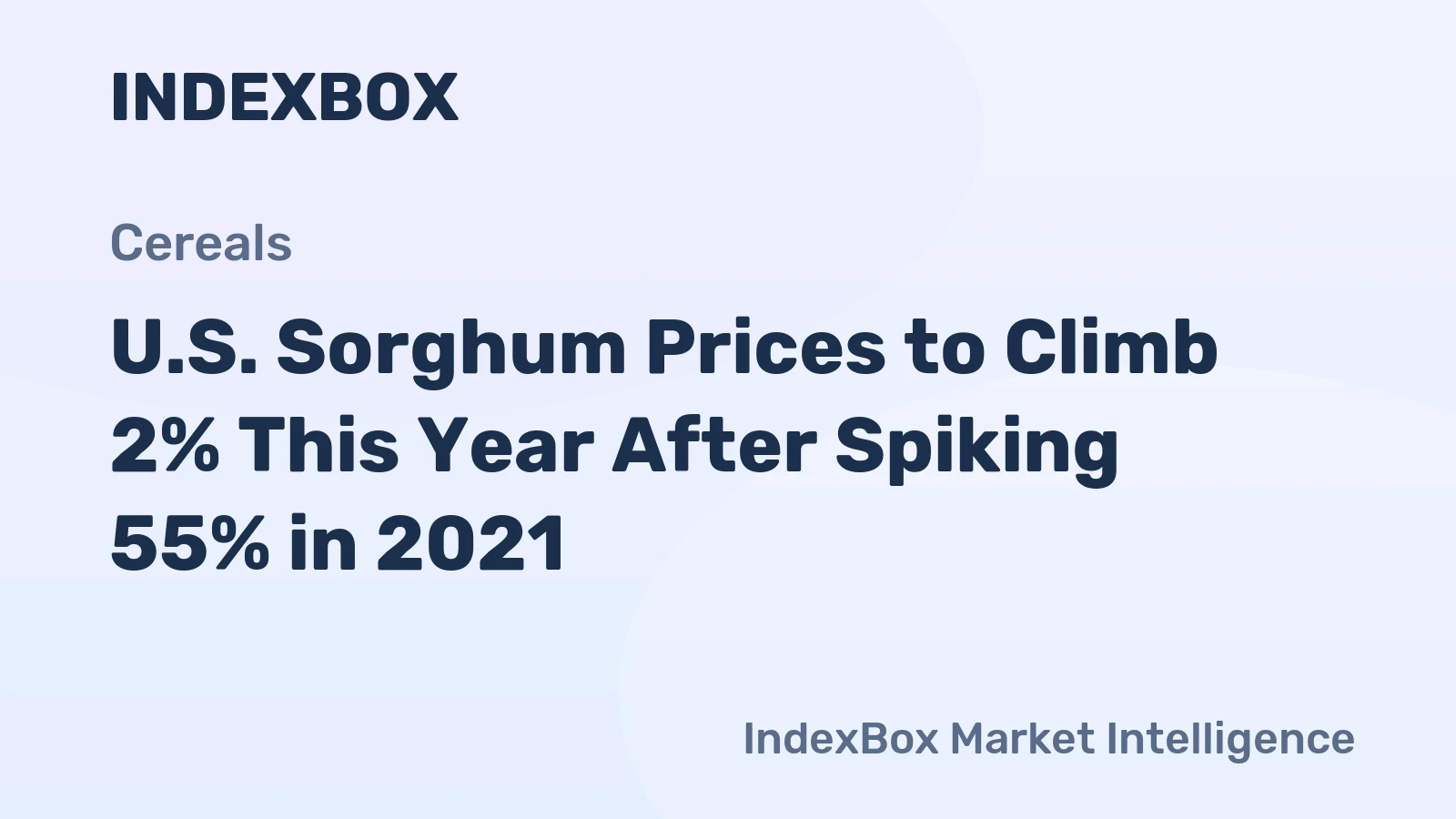 U.S. Sorghum Prices to Climb 2% This Year After Spiking 55% in 2021
