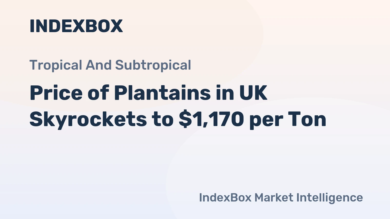 Price of Plantains in UK Skyrockets to $1,170 per Ton