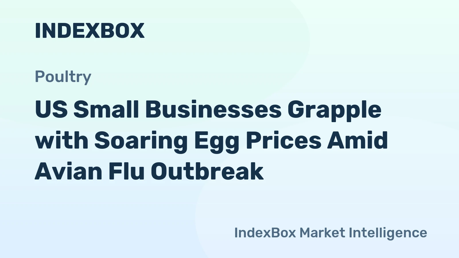 US Small Businesses Grapple with Soaring Egg Prices Amid Avian Flu Outbreak
