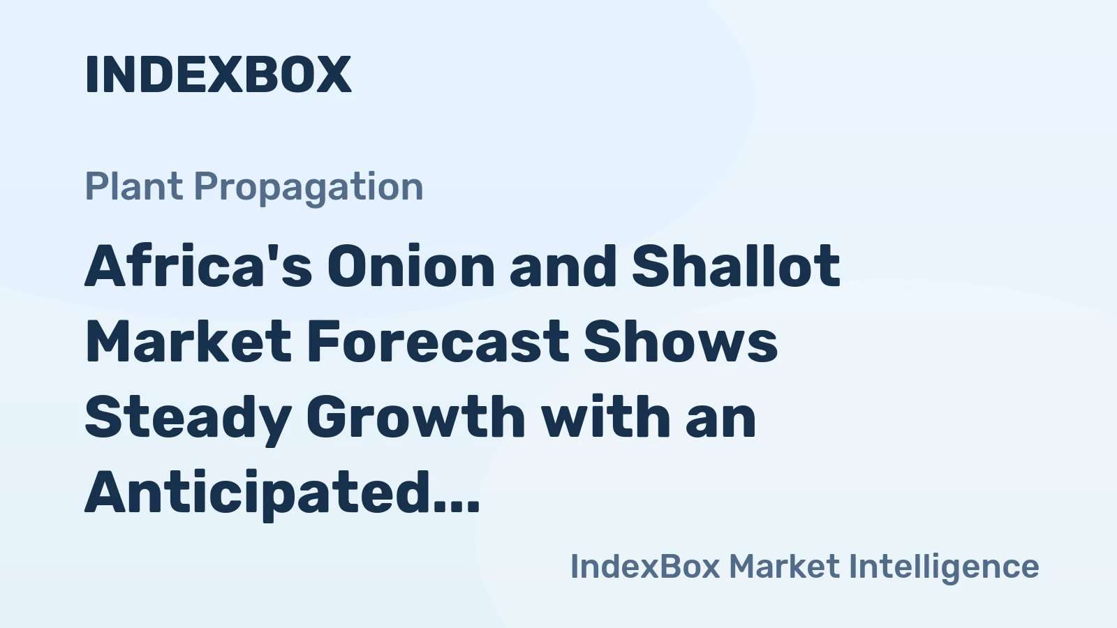 Africa's Onion and Shallot Market Forecast Shows Steady Growth with an Anticipated 1.8% CAGR in Value