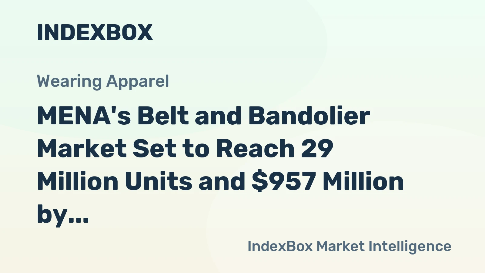 MENA's Belt and Bandolier Market Set to Reach 29 Million Units and $957 Million by 2035