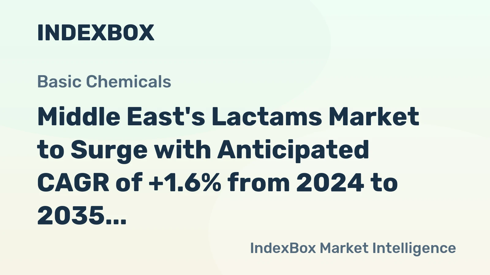 Middle East's Lactams Market to Surge with Anticipated CAGR of +1.6% from 2024 to 2035