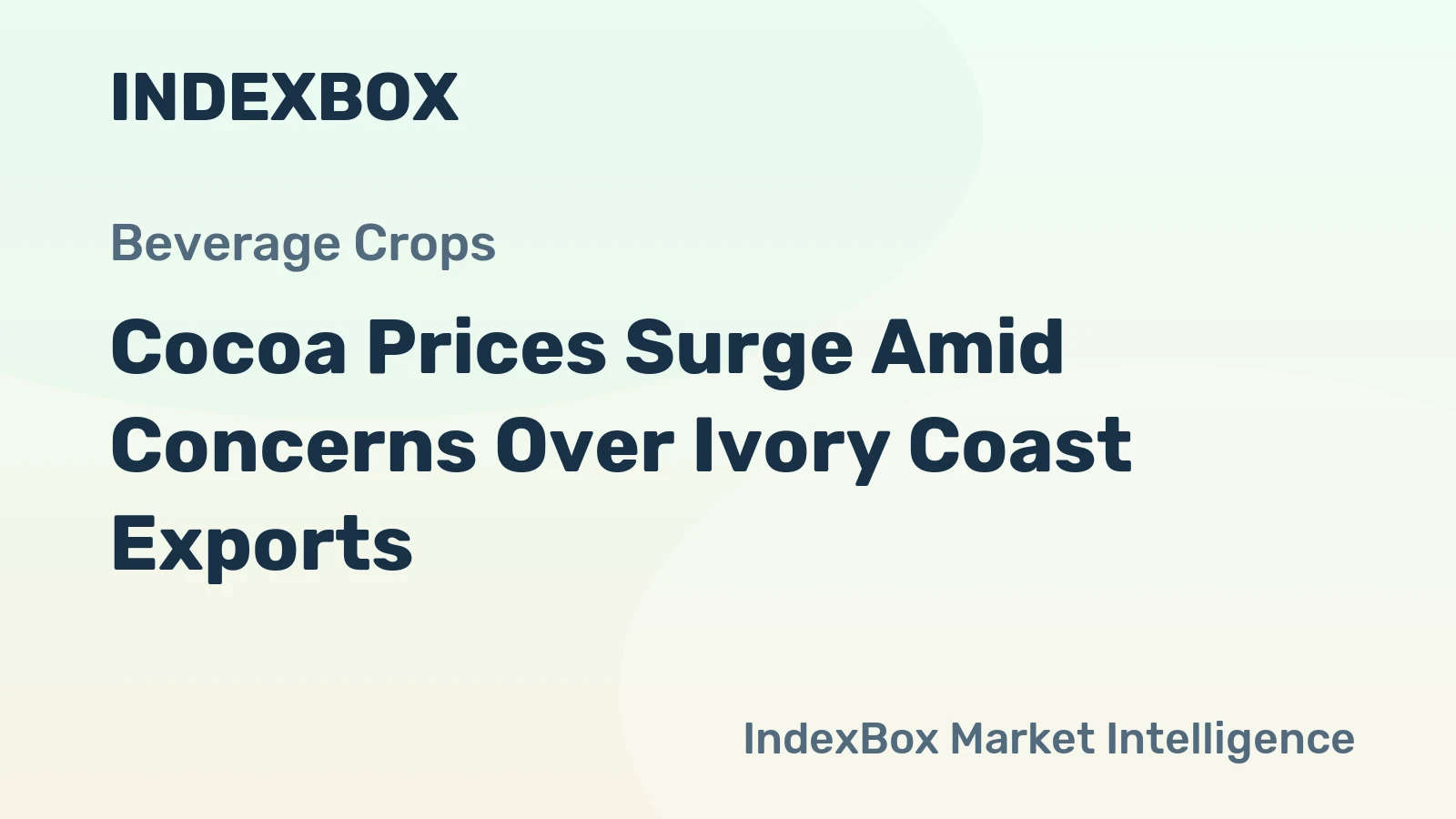 Cocoa Prices Surge Amid Concerns Over Ivory Coast Exports