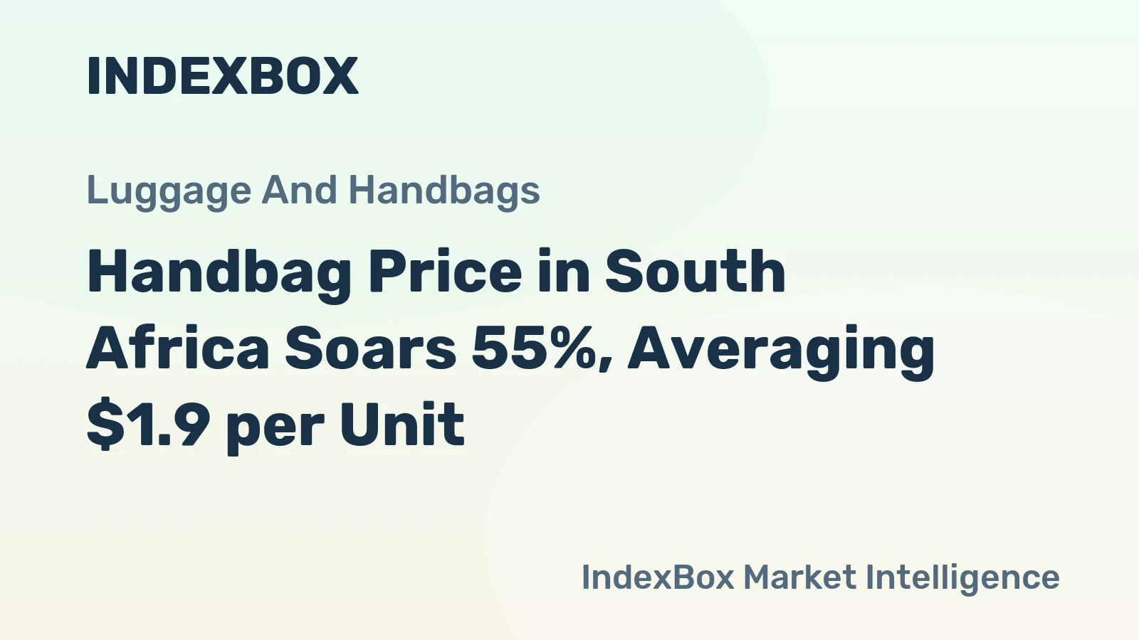 Handbag Price in South Africa Soars 55%, Averaging $1.9 per Unit